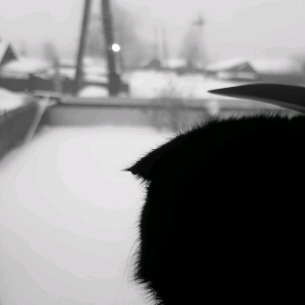 Иконка канала evil frog