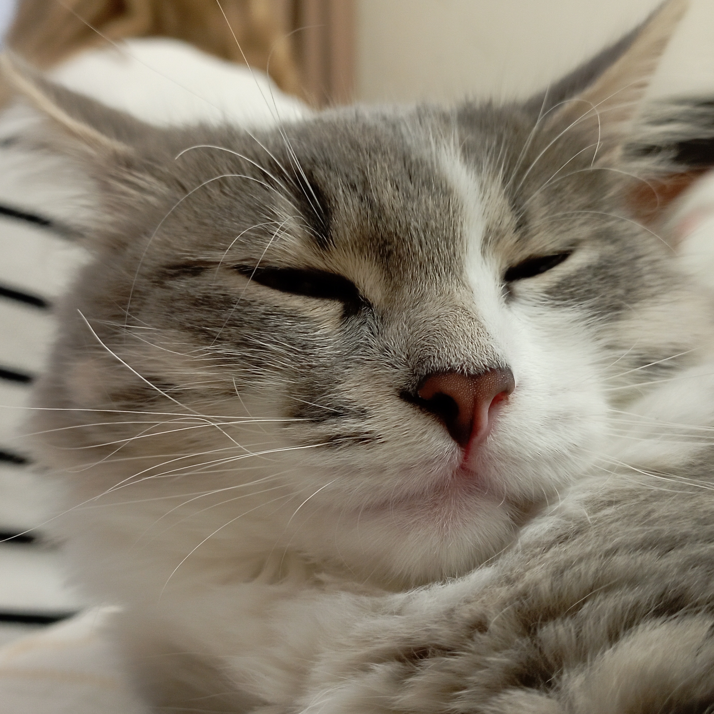 Иконка канала тучка