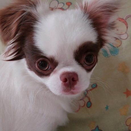 Иконка канала ПРОГУЛКА ПО САНК-ПЕТЕРБУРКУ.