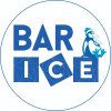 Иконка канала BARICE