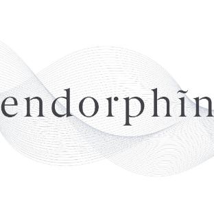Иконка канала Endorphin Studio
