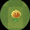 Иконка канала Sunflower