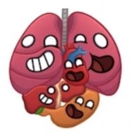 Иконка канала Наше Тело