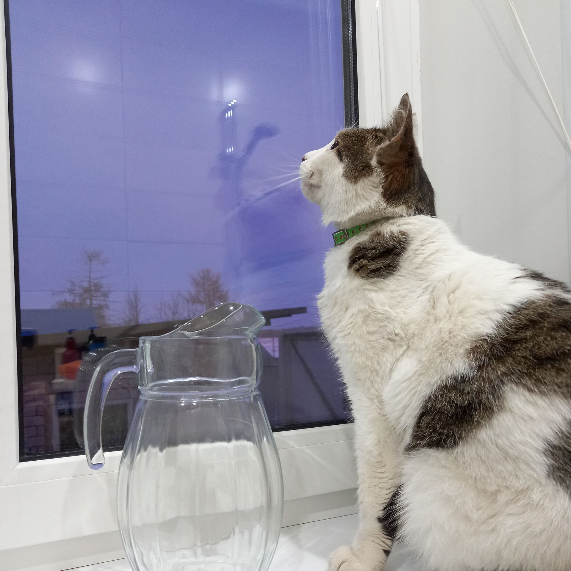 Иконка канала Проживая день за днем...