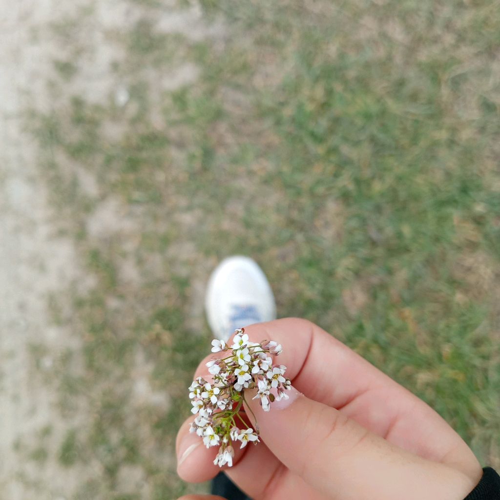 Иконка канала Эля Топ