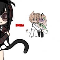 Иконка канала 💥Ваша Виша🐾