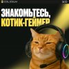 Иконка канала Cat love