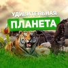 Иконка канала Удивительная планета