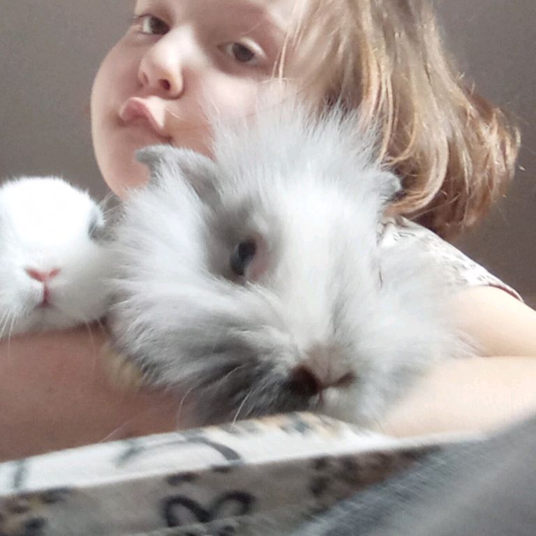 Иконка канала Мы И Не Только Агата И Собака и Кролики Шуя и Шуша