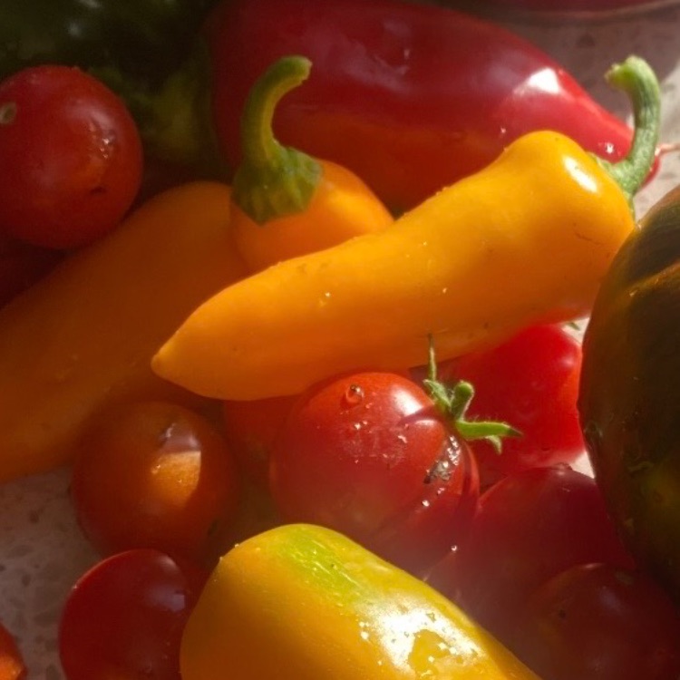 Иконка канала Юлин канал Загородный light