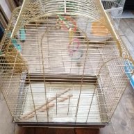 Иконка канала Информационные технологии.