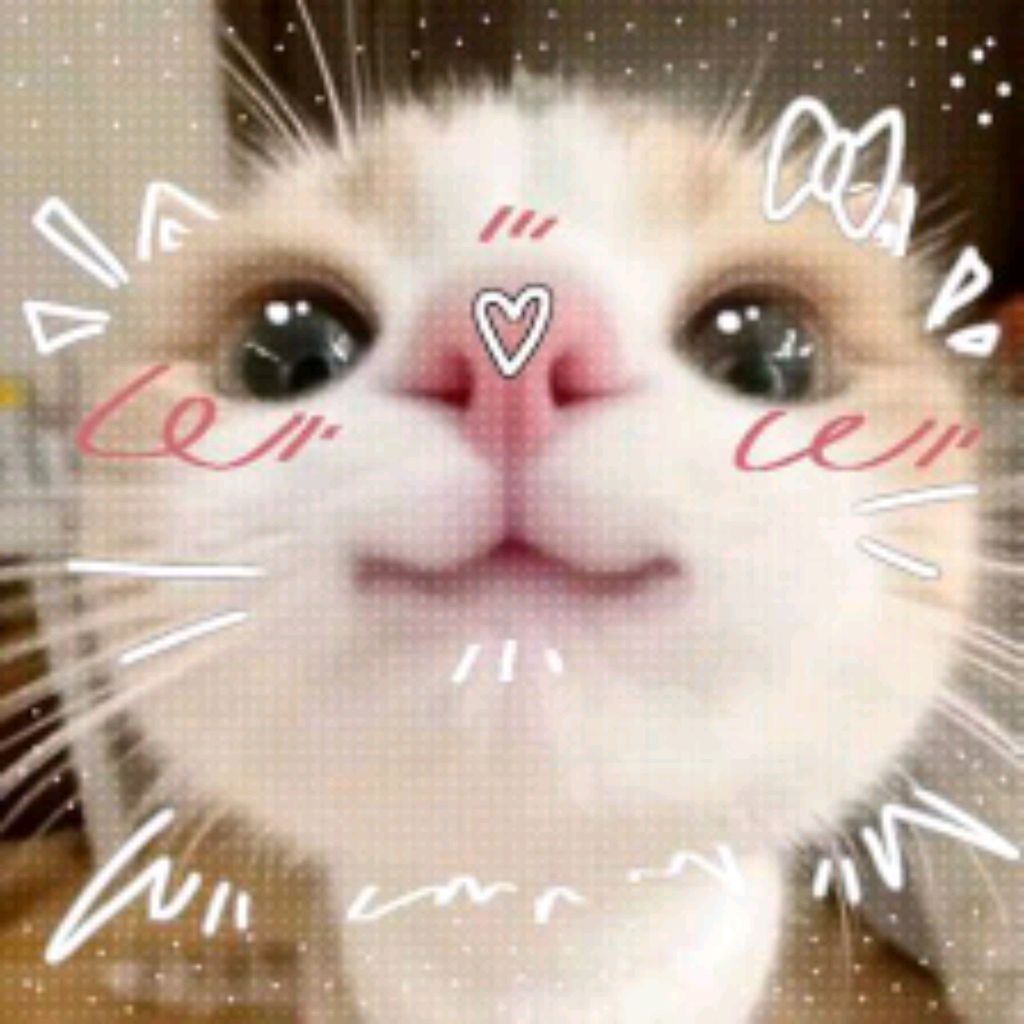 Иконка канала Милашка 🥰