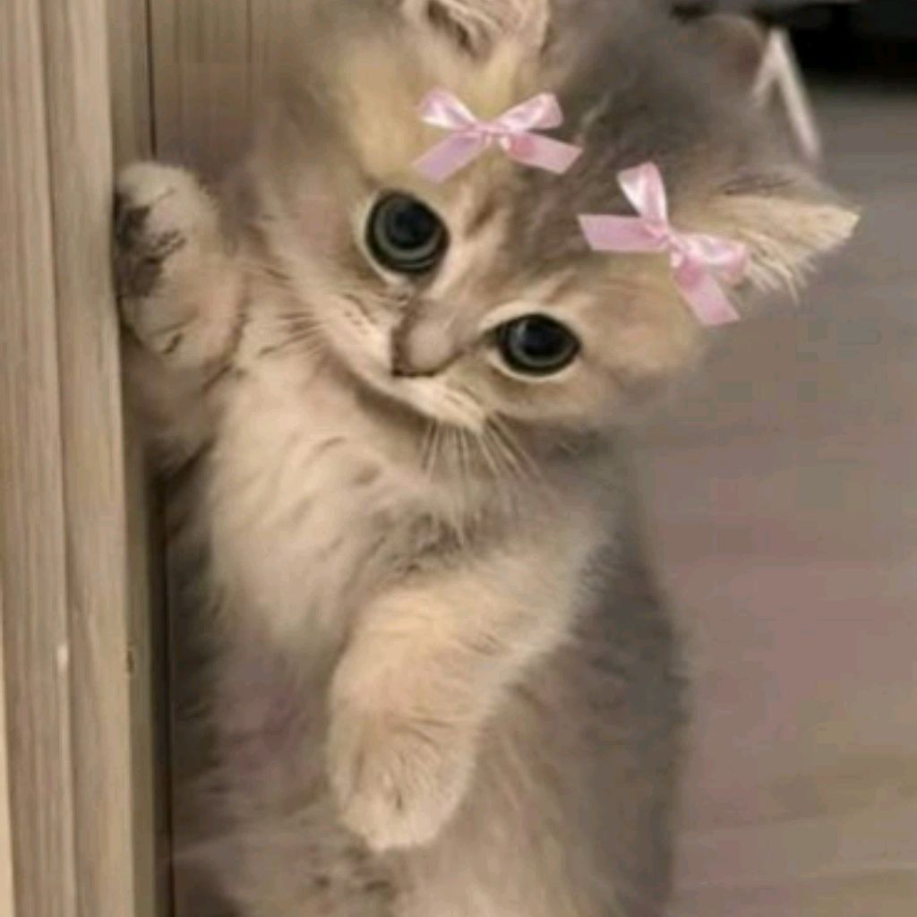 Иконка канала Саша Стор🎀