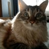 Иконка канала ︎    ᅠ ᅠ ᅠ     ᅠ ︎ ︎         ︎   ︎ ︎