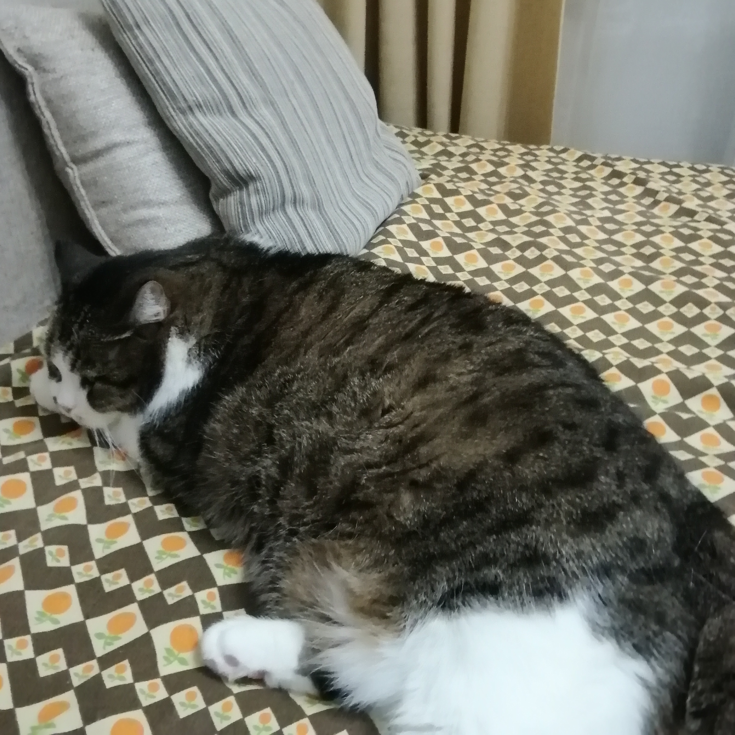 Иконка канала User9992888