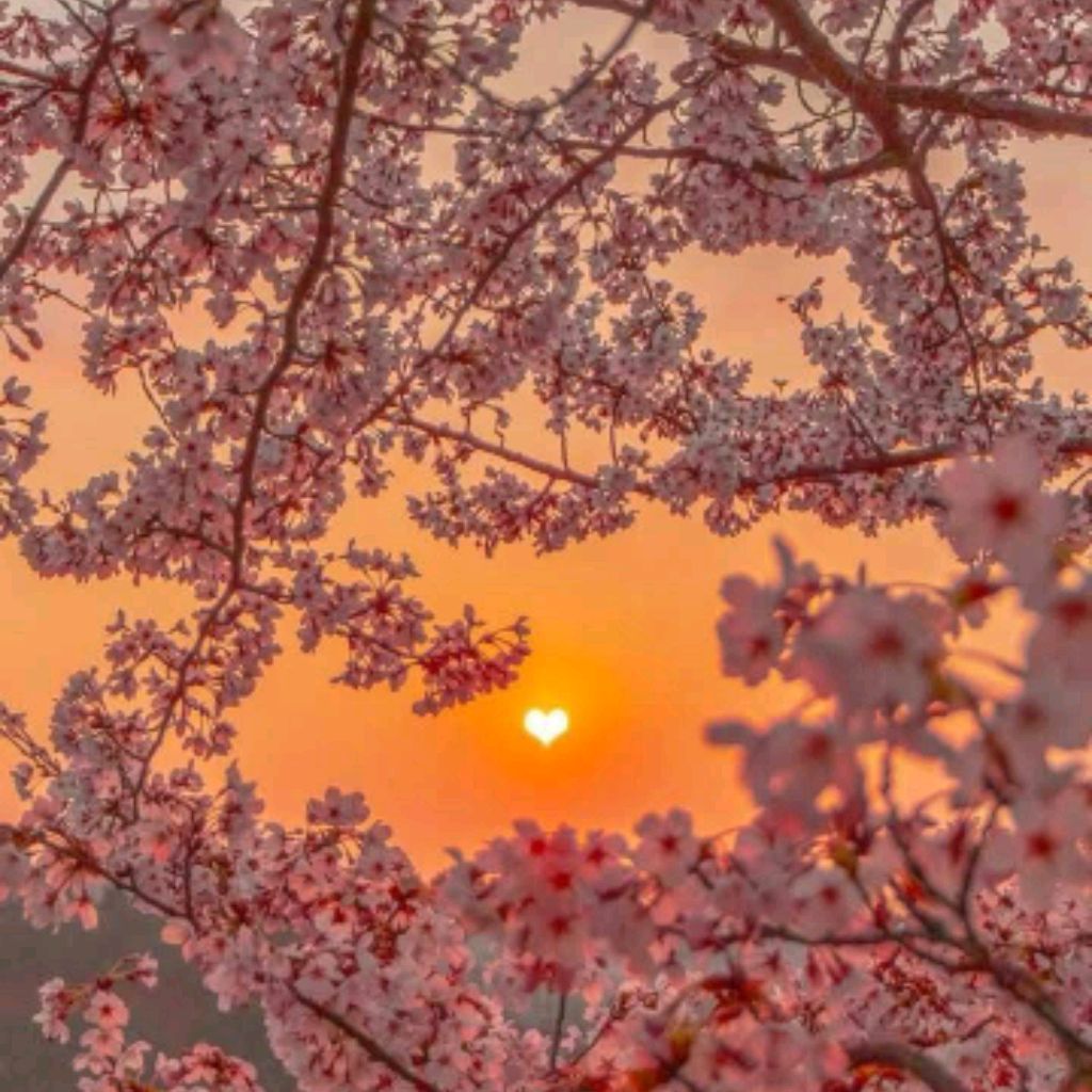 Иконка канала waknozik