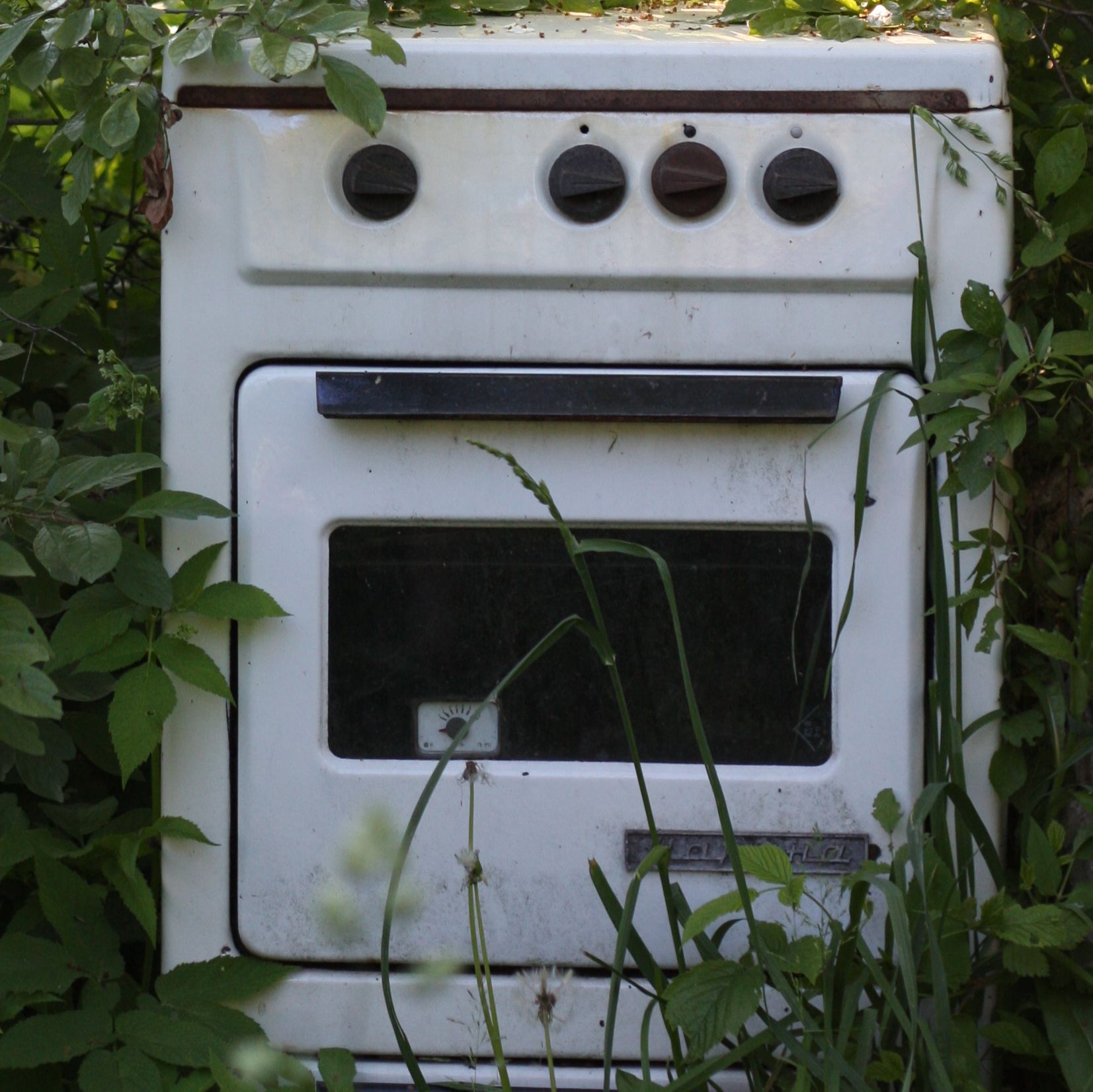 Иконка канала Ведьмины зауми и дружественные Природе премудрости