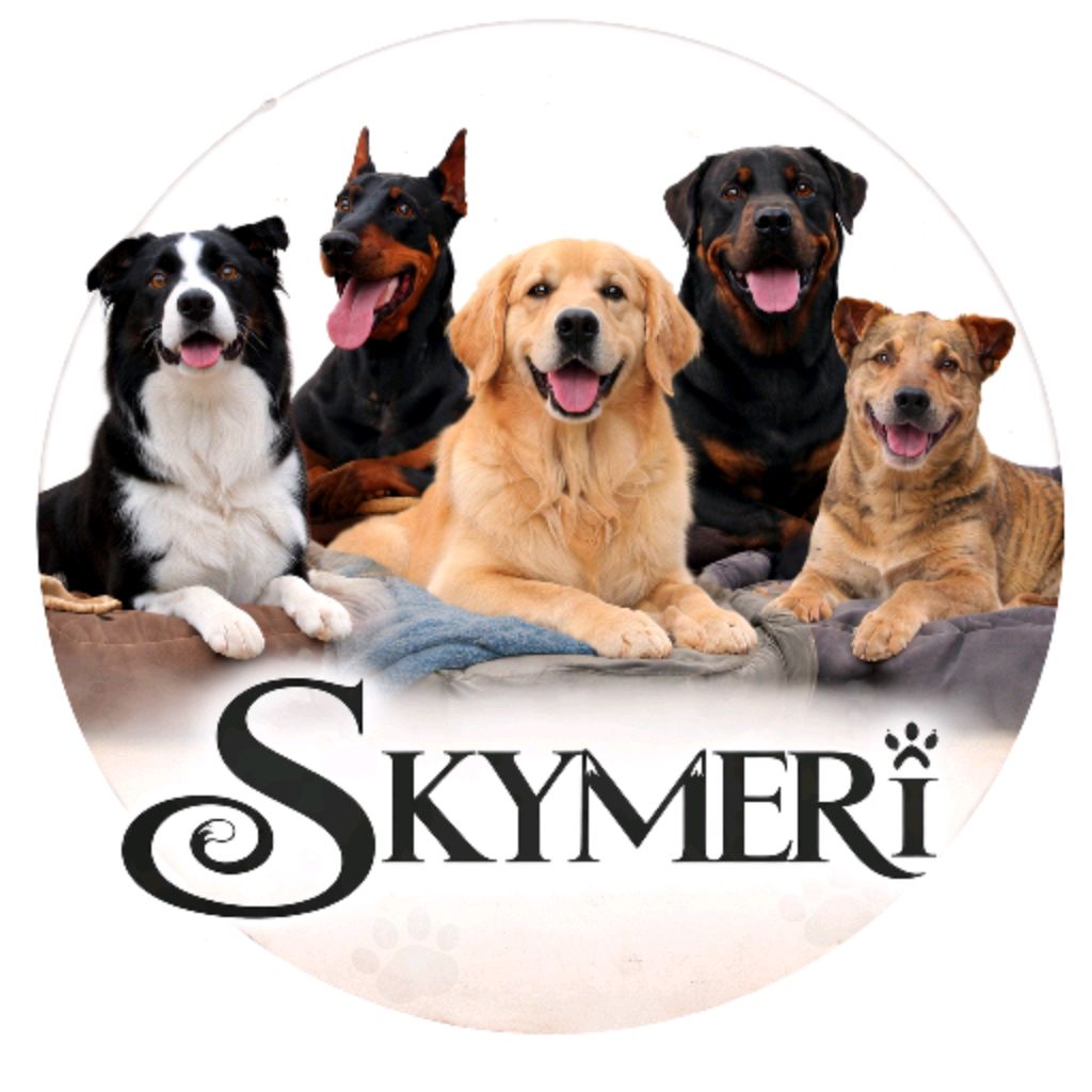Иконка канала Бренд Skymeri - Лежанки для собак и кошек!