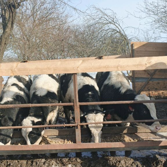 Иконка канала Жизнь в Деревне. Многодетная Семья.