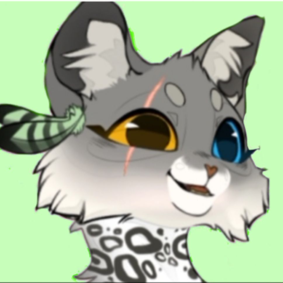 Иконка канала 🩷♡⭐~Леопардовая Звезда Кв_ВайлдКрафт~⭐♡🩷