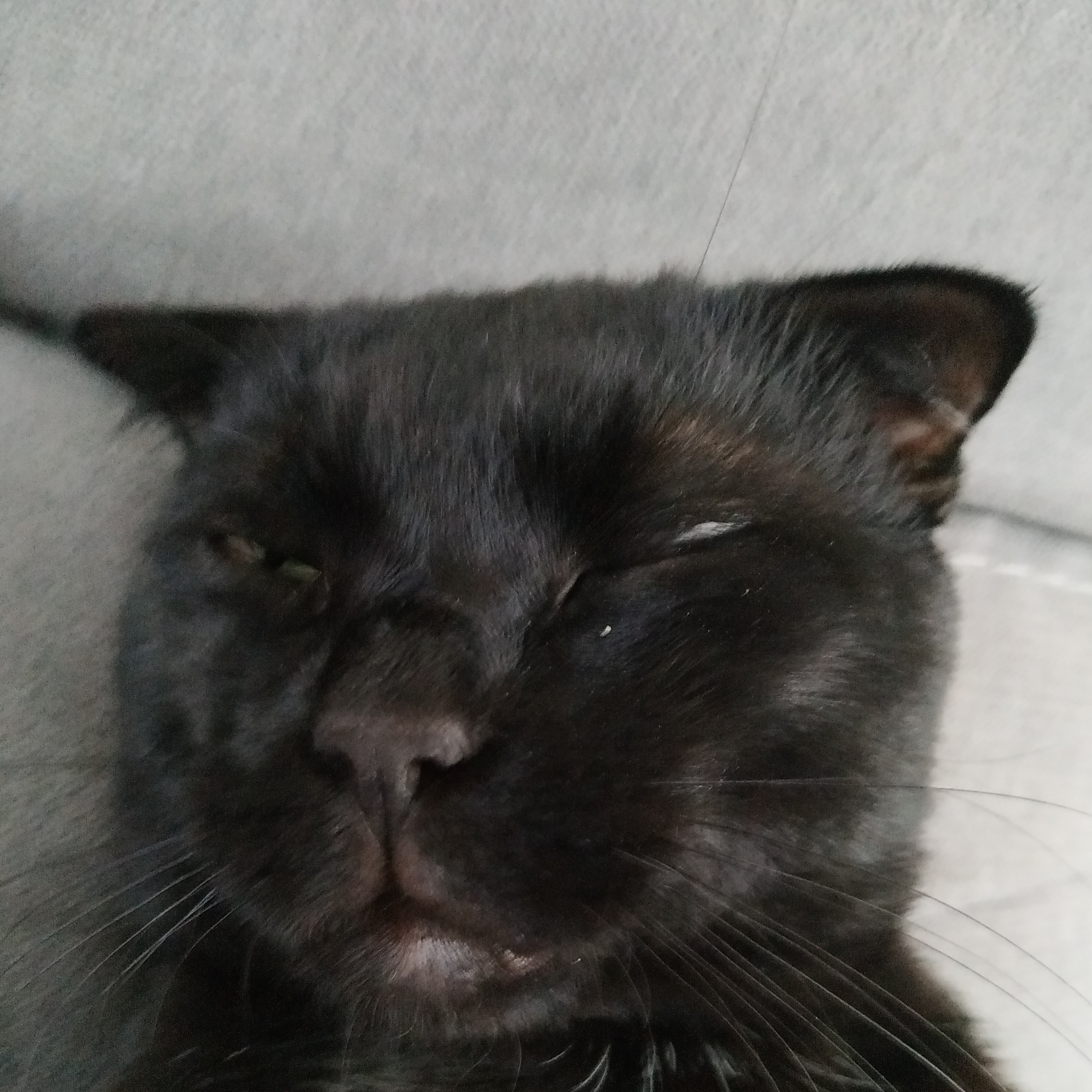 Иконка канала JDH993ZZ