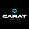 Иконка канала carat