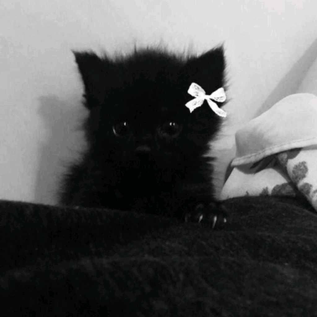 Иконка канала .. - (🥥).. MiSs MaNy.. - (🦒)..