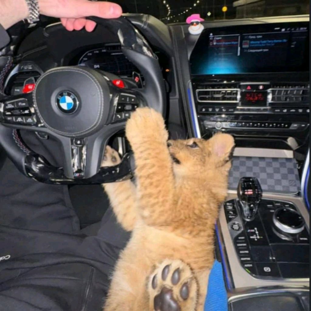 Иконка канала Nagan777