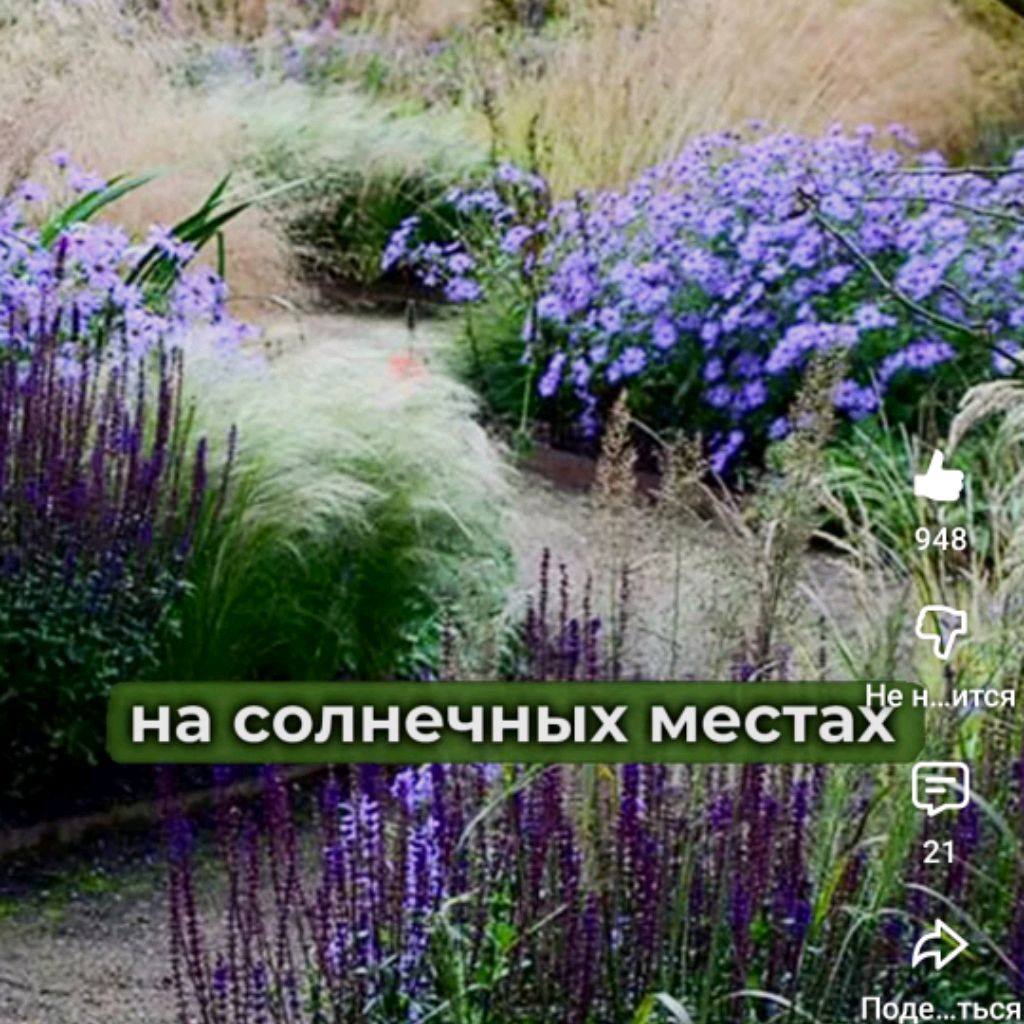 Иконка канала Анютка 35237689