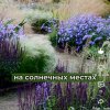 Иконка канала Анютка 35237689