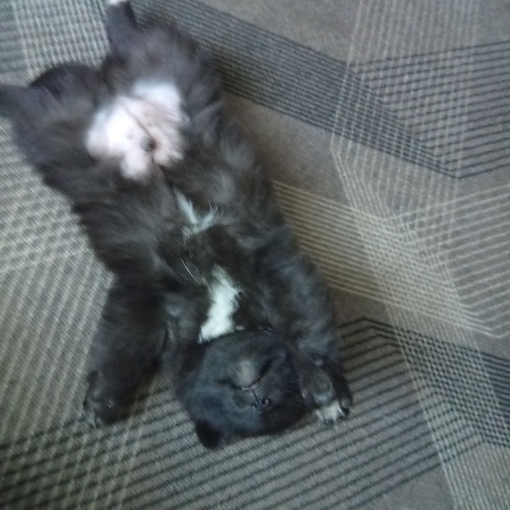 Иконка канала Малыш