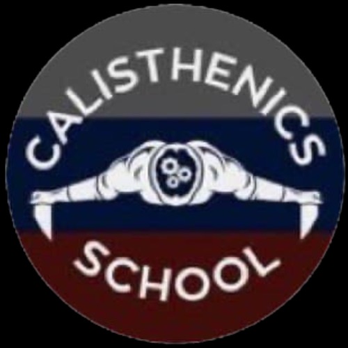 Иконка канала Школа Воркаута