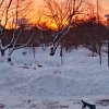 Иконка канала channel76973133