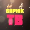 Иконка канала Бирюк ТВ
