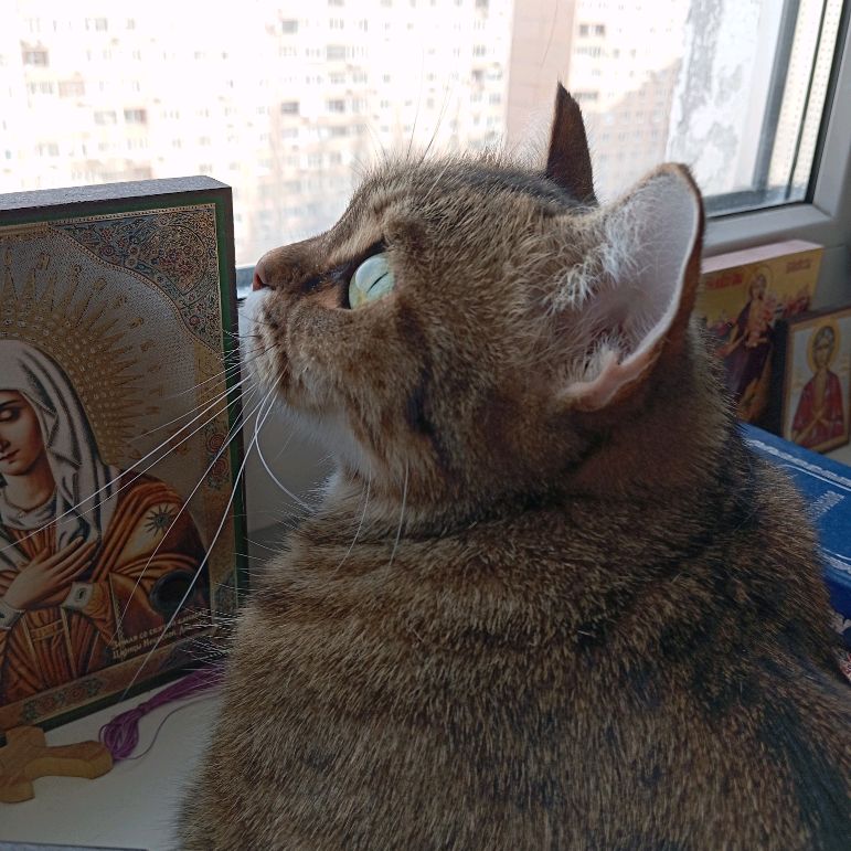 Иконка канала 💋Катя Кики💋