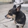Иконка канала Линда 56к