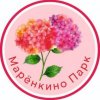 Иконка канала channel66944234