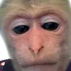 Иконка канала xanted ysolsky