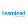 Иконка канала Teamlead Консалтинг