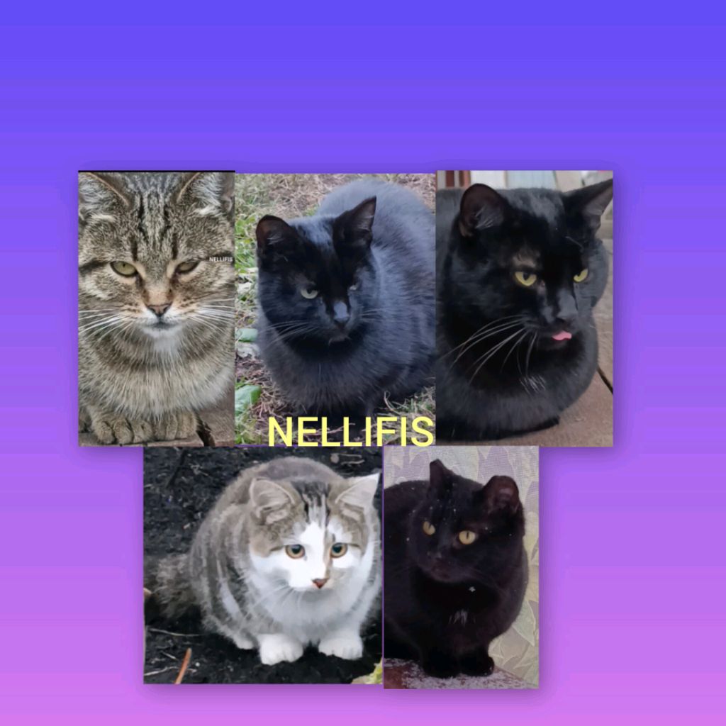 Иконка канала NELLIFIS