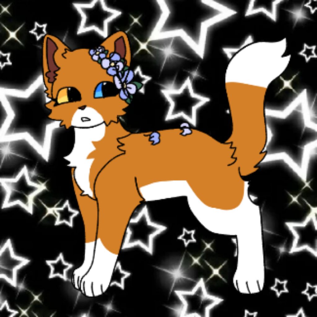 Иконка канала Сиреневая Звезда