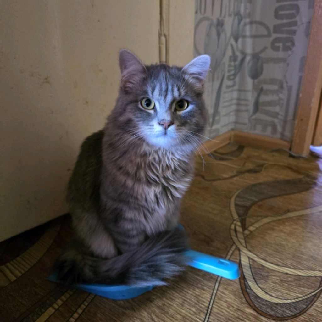 Иконка канала На Мурмулях Сидит