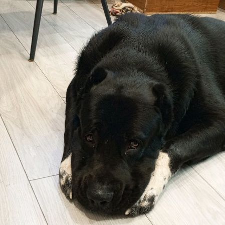 Иконка канала channel49869970