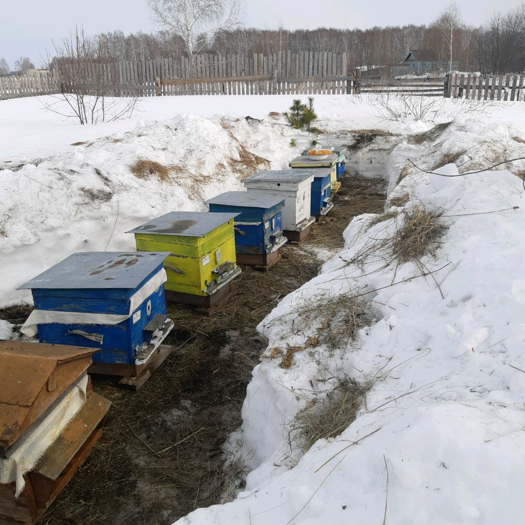 Иконка канала Меды родного Края