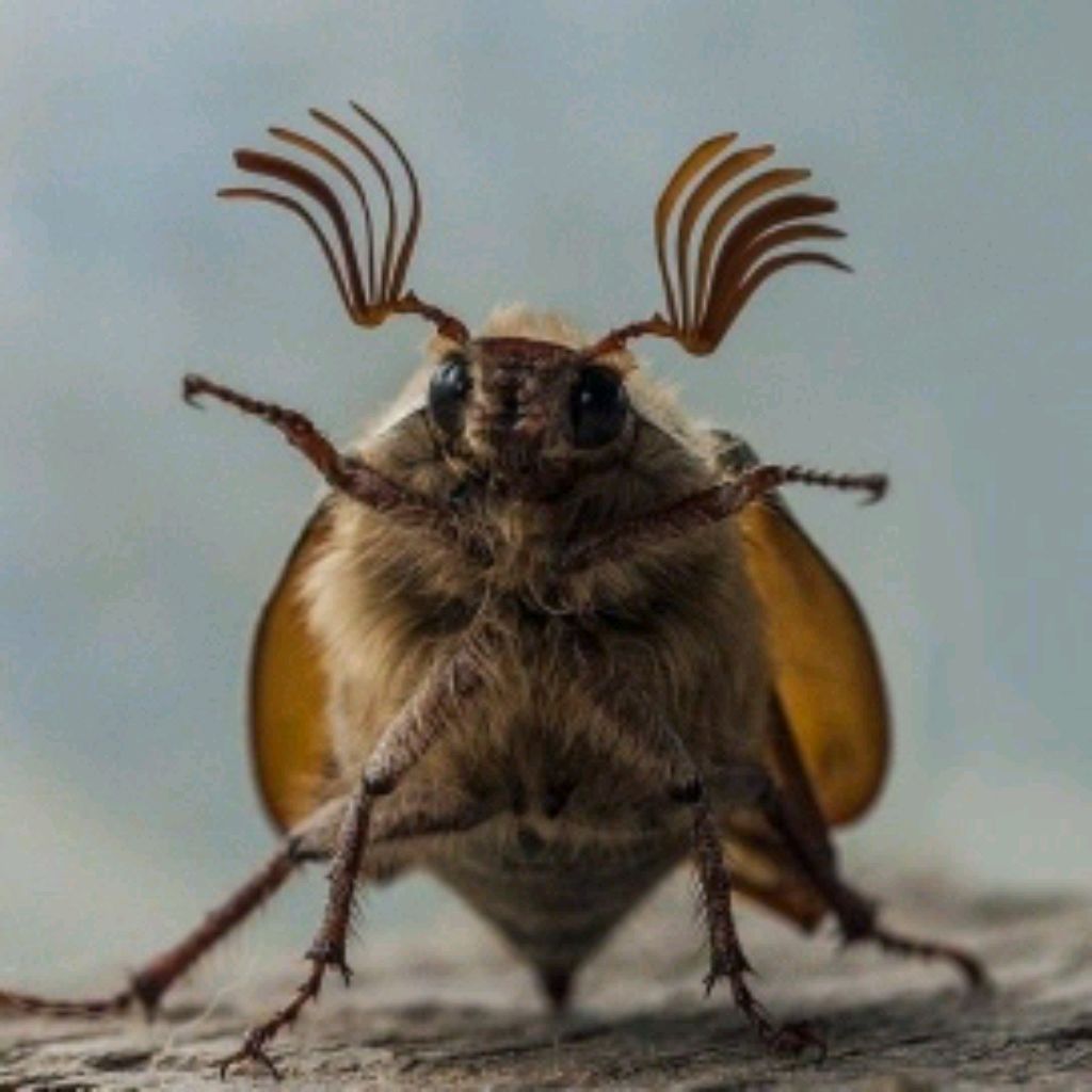 Иконка канала ⁠♡Diameo⁠♡