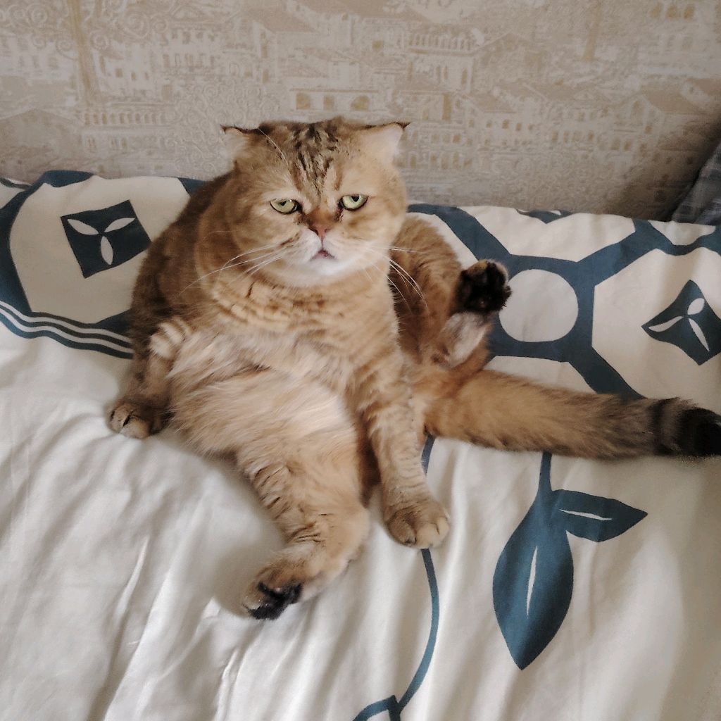 Иконка канала КОШАЧИЙ ГЕЙМЕР