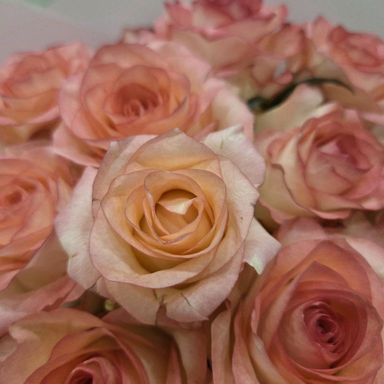 Иконка канала Охапка игрушек