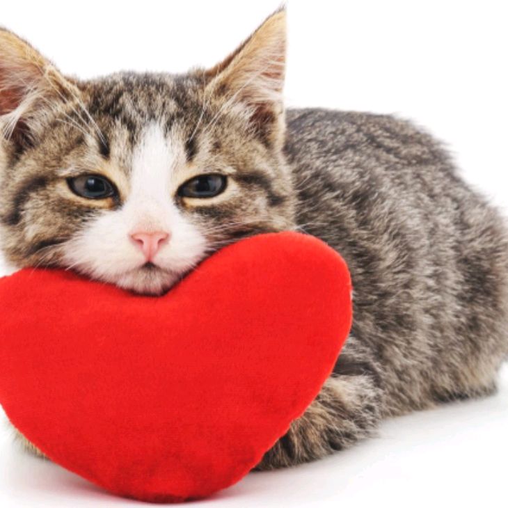 Иконка канала Игры🎮👾