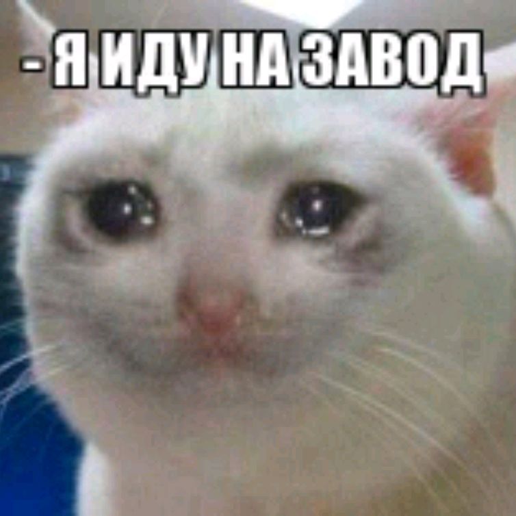 Иконка канала Артём77035655