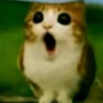 Иконка канала Samsung tvip